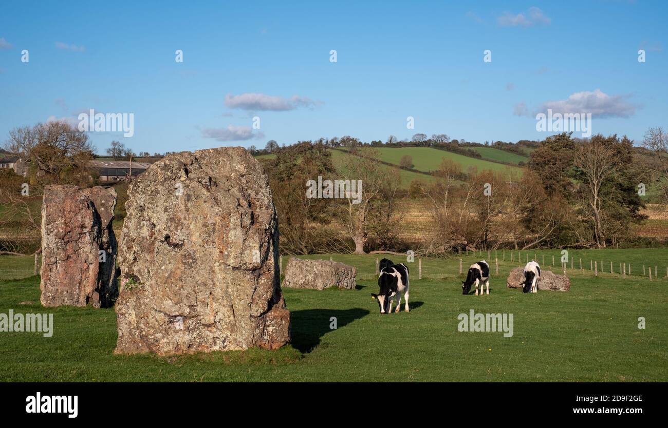 Field of Neolithic stone circle at Stanton Drew, Bristol, Somerset UK ...