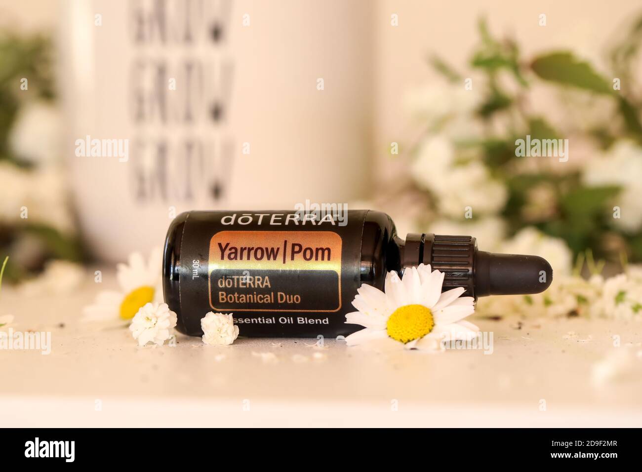 Illustrative editorial image of Doterra essential oils on display in ...
