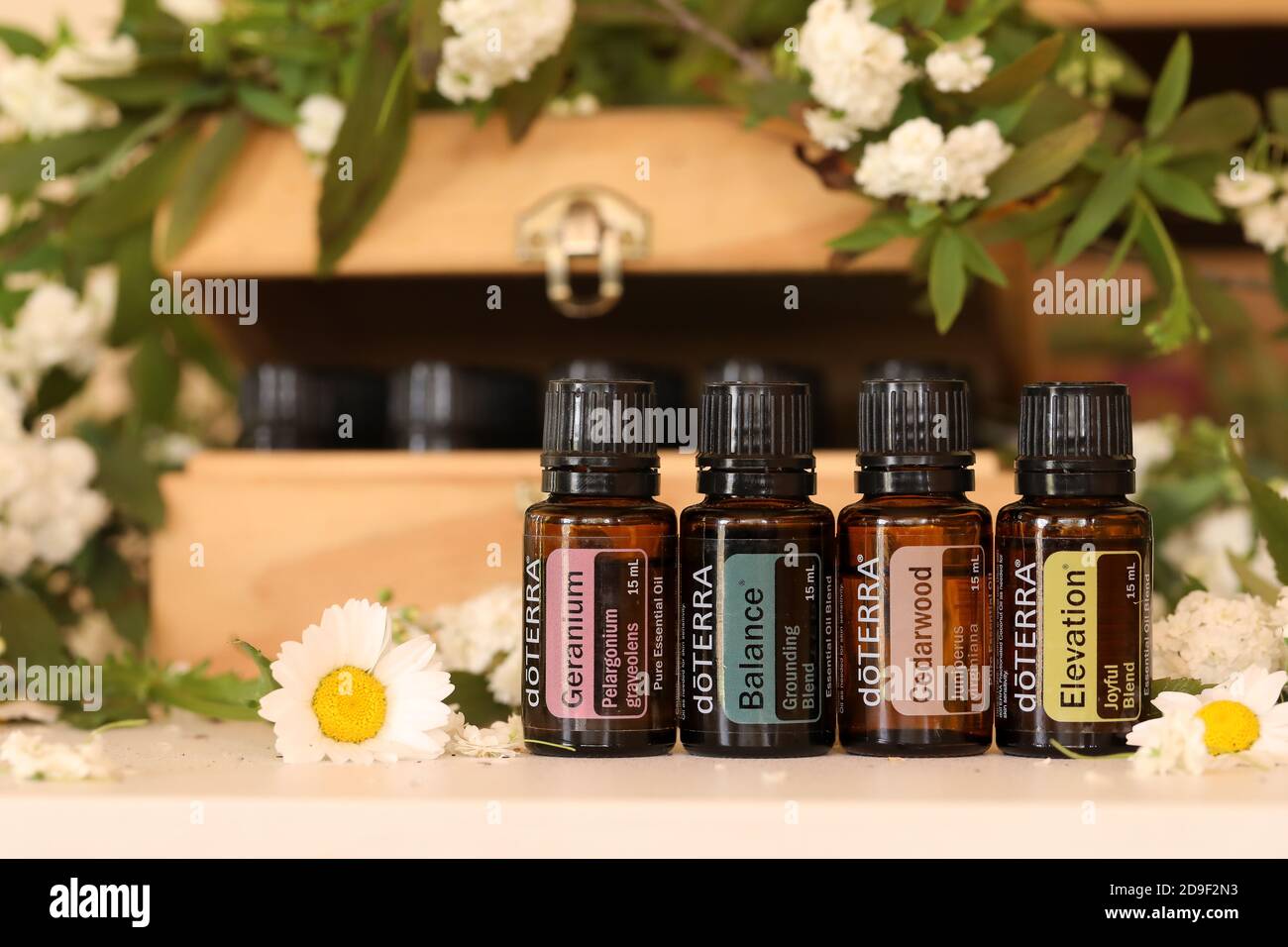 Illustrative editorial image of Doterra essential oils on display in ...
