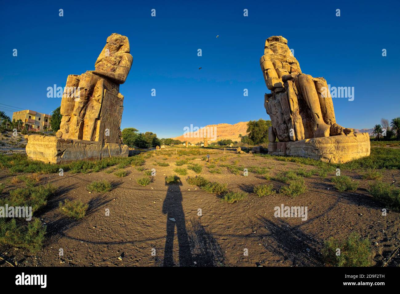 Memnon was a hero of the Trojan War, a King of Ethiopia who led his ...