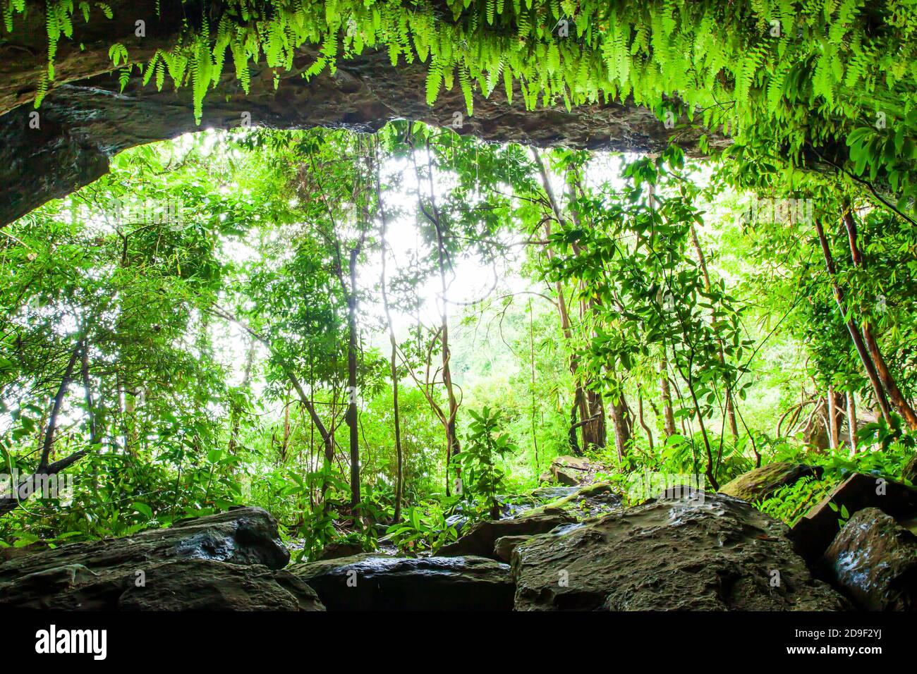 Inside cave looking out hi-res stock photography and images - Alamy