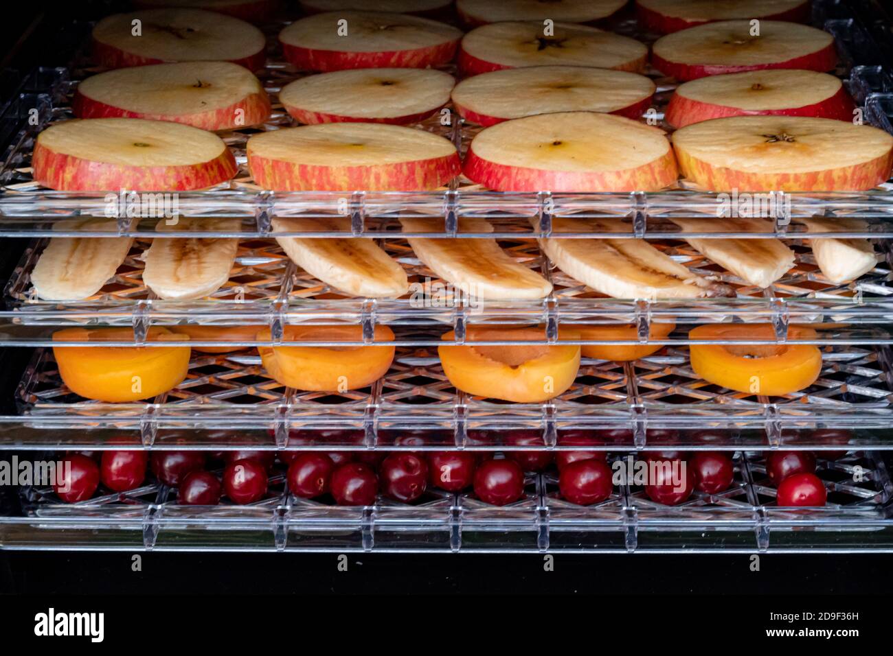 Electric drying machine for dehydrating products with horizontal ...