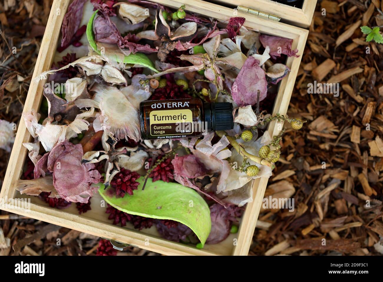 Illustrative editorial image of Doterra essential oils on display in ...