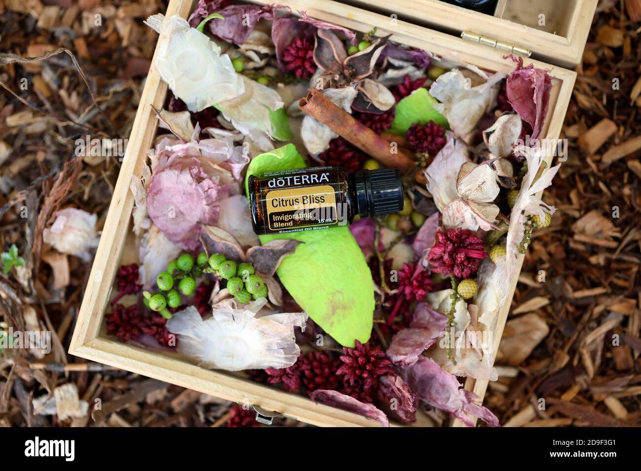 Illustrative editorial image of Doterra essential oils on display in ...