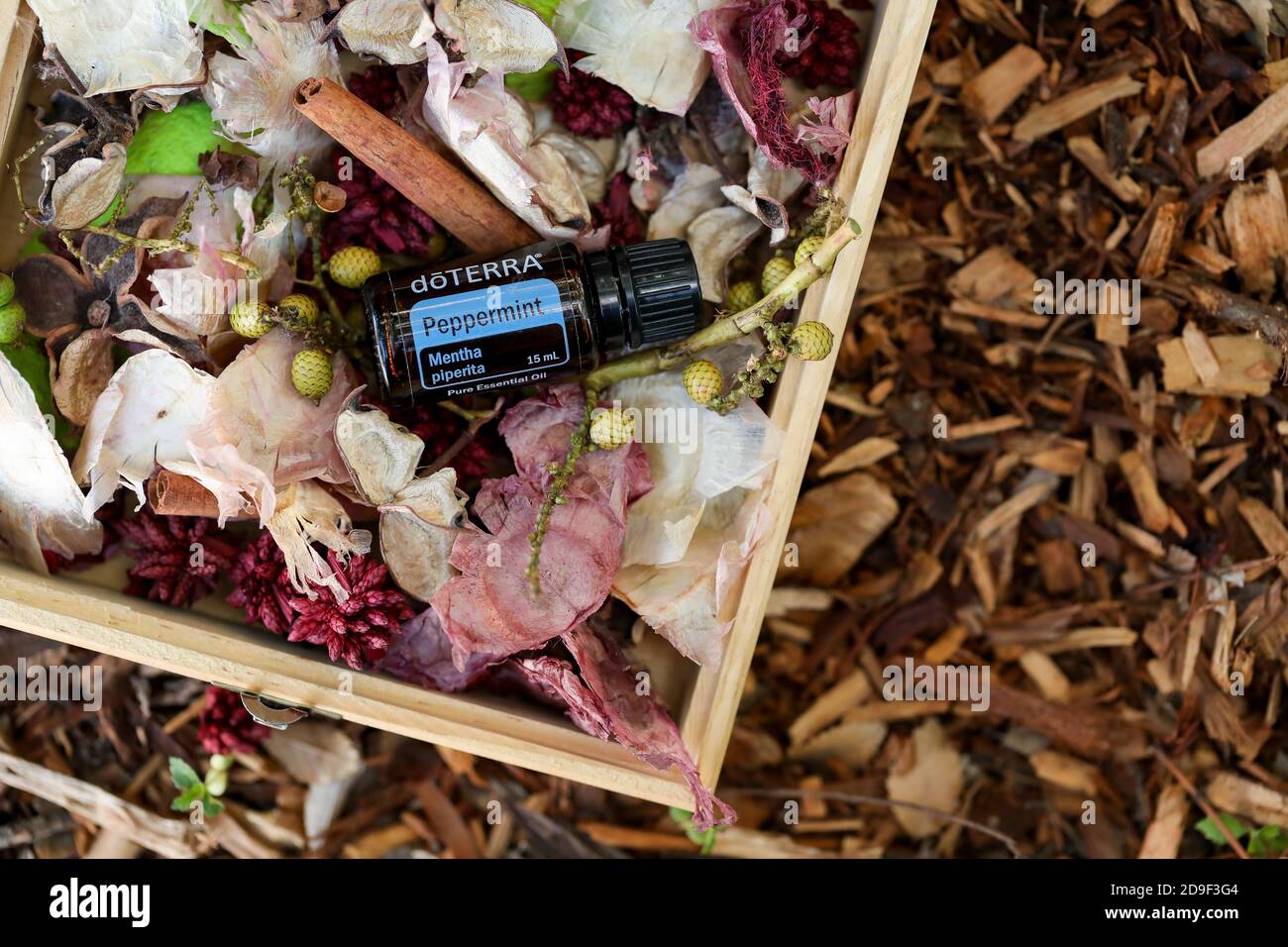 Illustrative editorial image of Doterra essential oils on display in ...