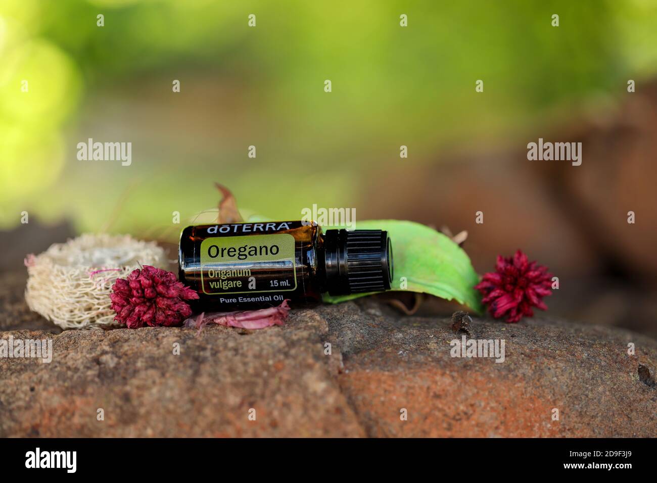 Illustrative editorial image of Doterra essential oils on display in ...
