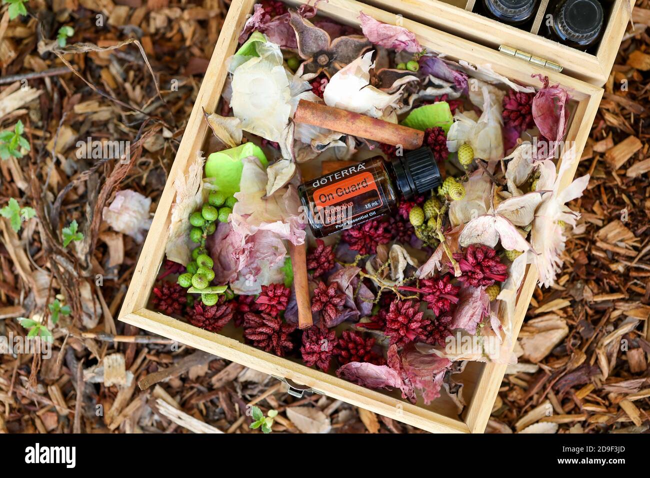 Illustrative editorial image of Doterra essential oils on display in ...