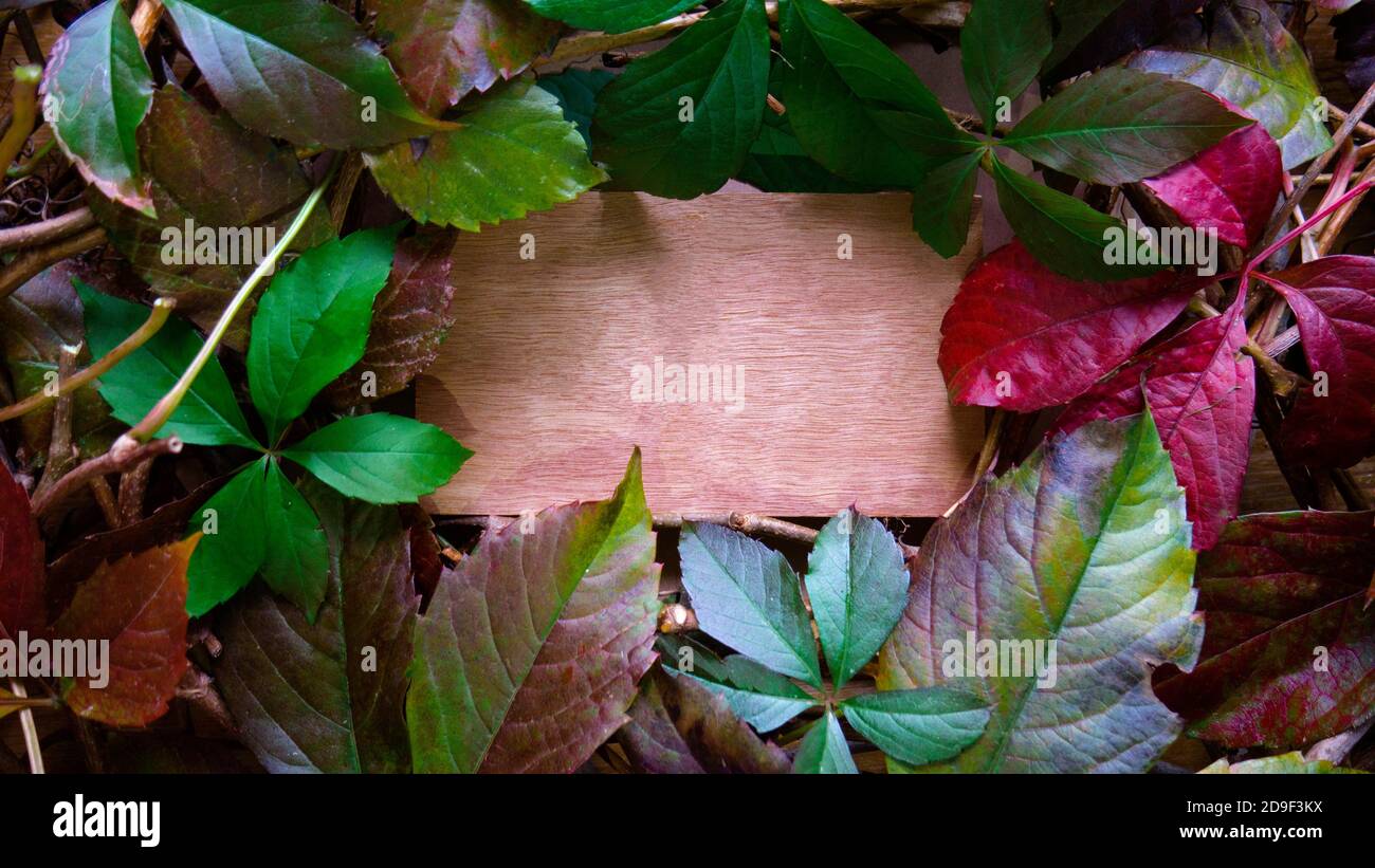 Layout made of autumn leaves with an empty wooden base Stock Photo - Alamy