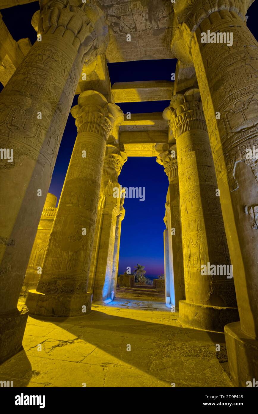 The Vestibule's 10 columns are gorgeously decorated with rich palm ...