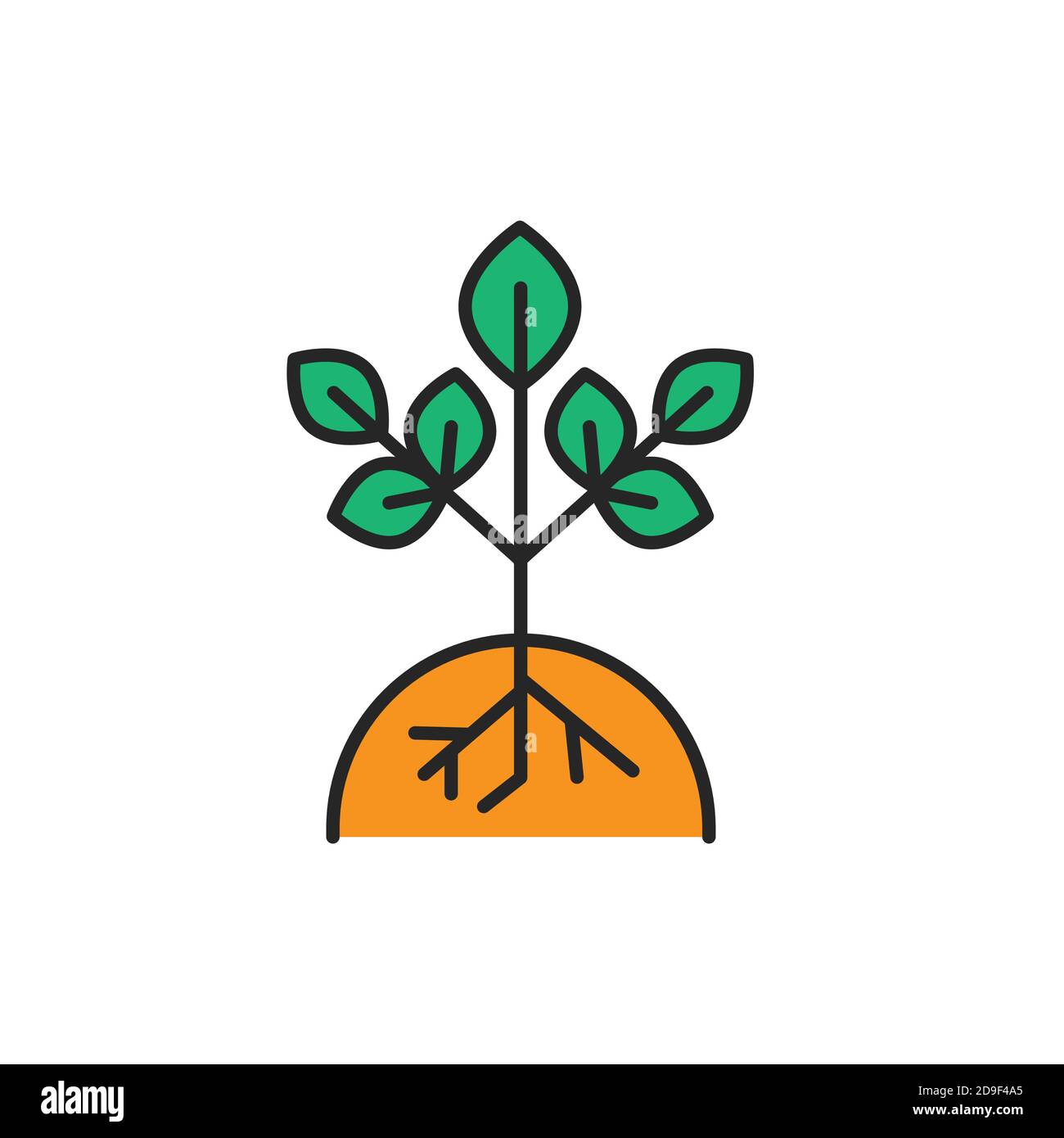Plant Growth Icon