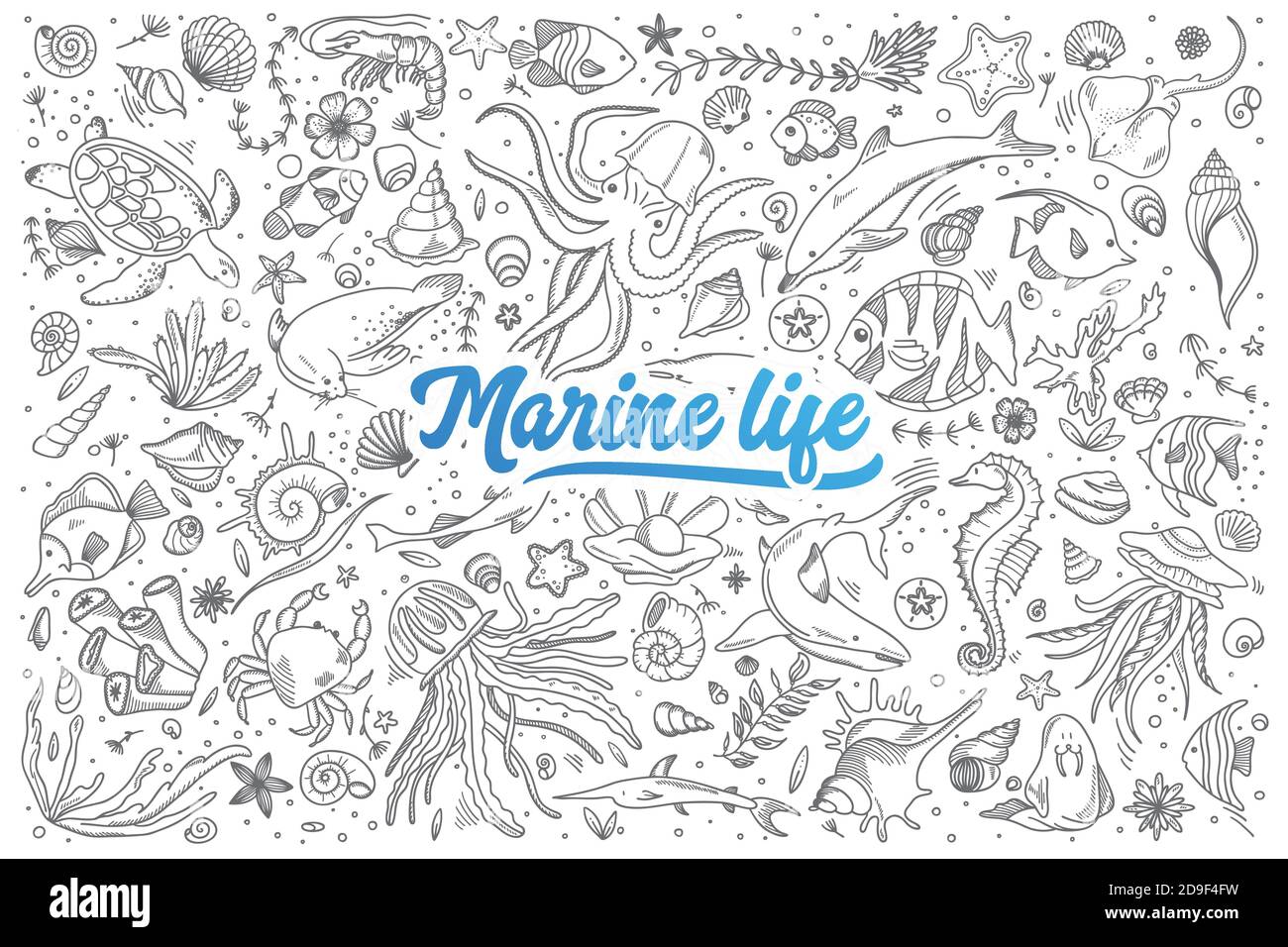 Marine life doodle set with lettering Stock Vector Image & Art - Alamy