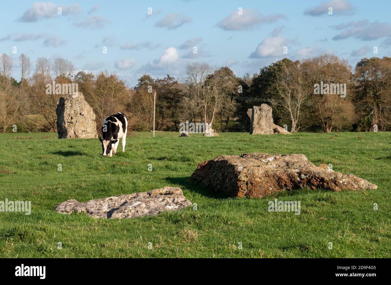 Field of Neolithic stone circle at Stanton Drew, Bristol, Somerset UK ...