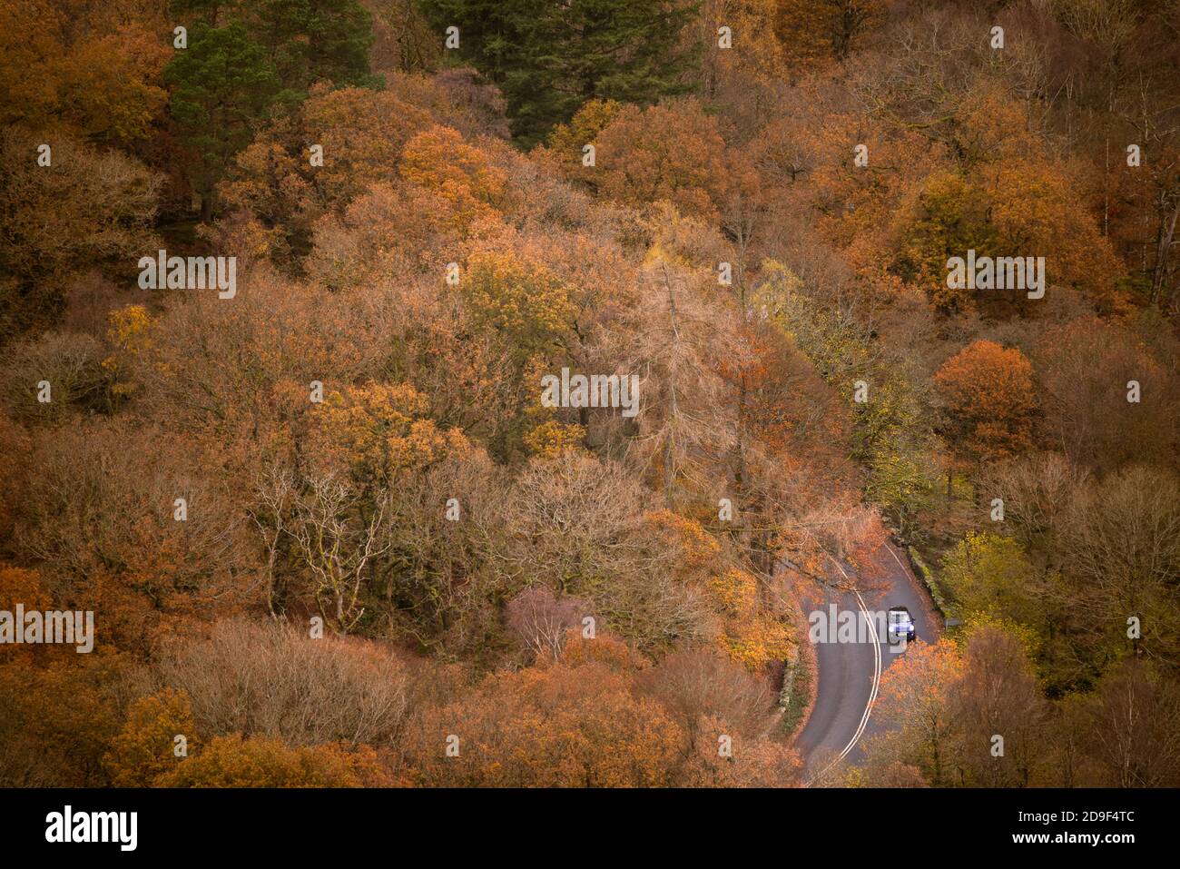 Car driving in countryside hi-res stock photography and images - Alamy