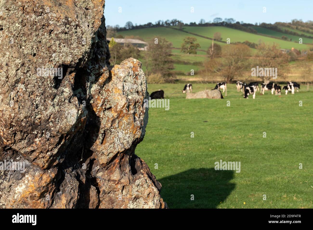 Field of Neolithic stone circle at Stanton Drew, Bristol, Somerset UK ...