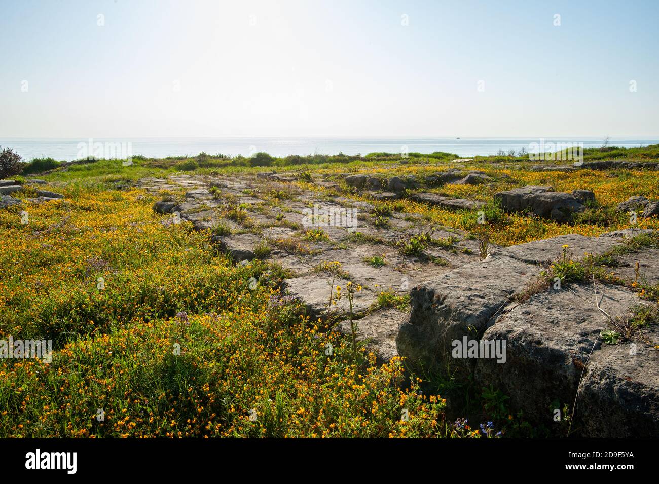 Italy Calabria Monasterace -archaeological remains of ancient Kaulon ...