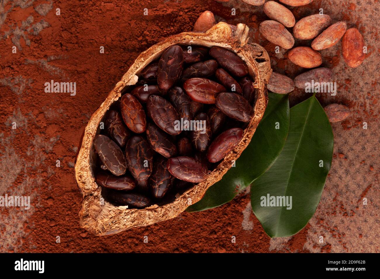 Composition with cocoa pod, powder, beans and leaves on table ...