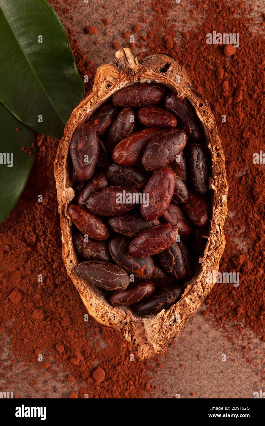 Composition with cocoa pod, powder, beans and leaves on table ...