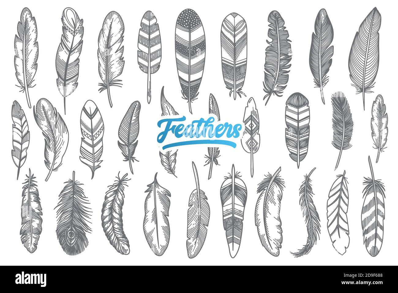Hand drawn feather set with blue lettering Stock Vector Image & Art - Alamy