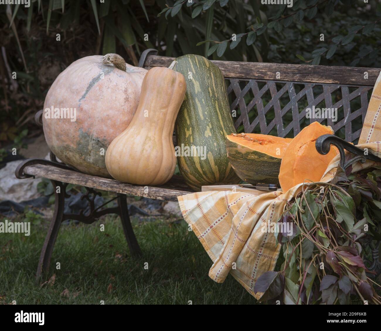 Wooden bench with pumpkins on it Stock Photo - Alamy