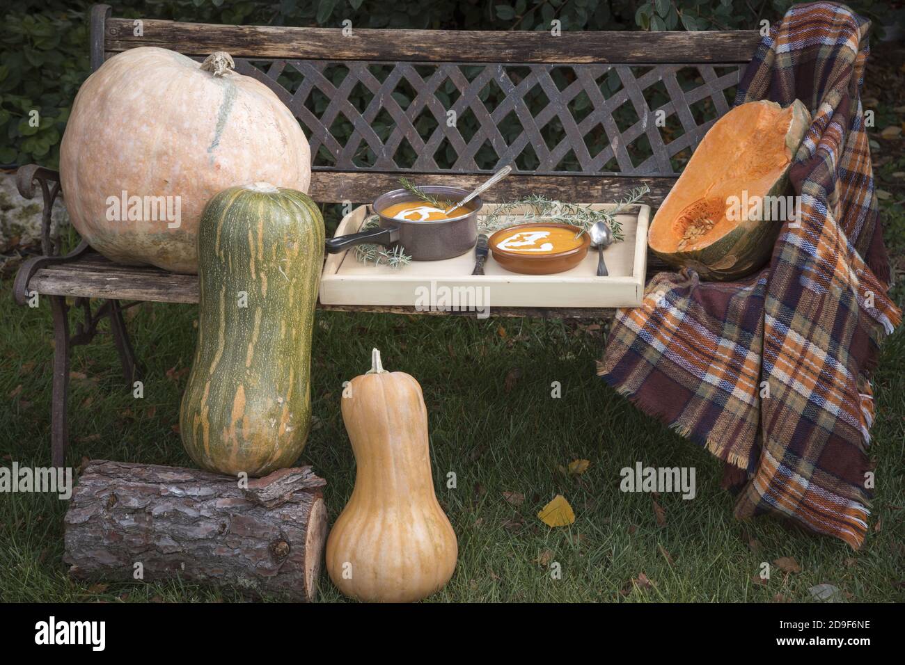 Bench in a garden decorated with pumpkins for Halloween with pumpkin ...