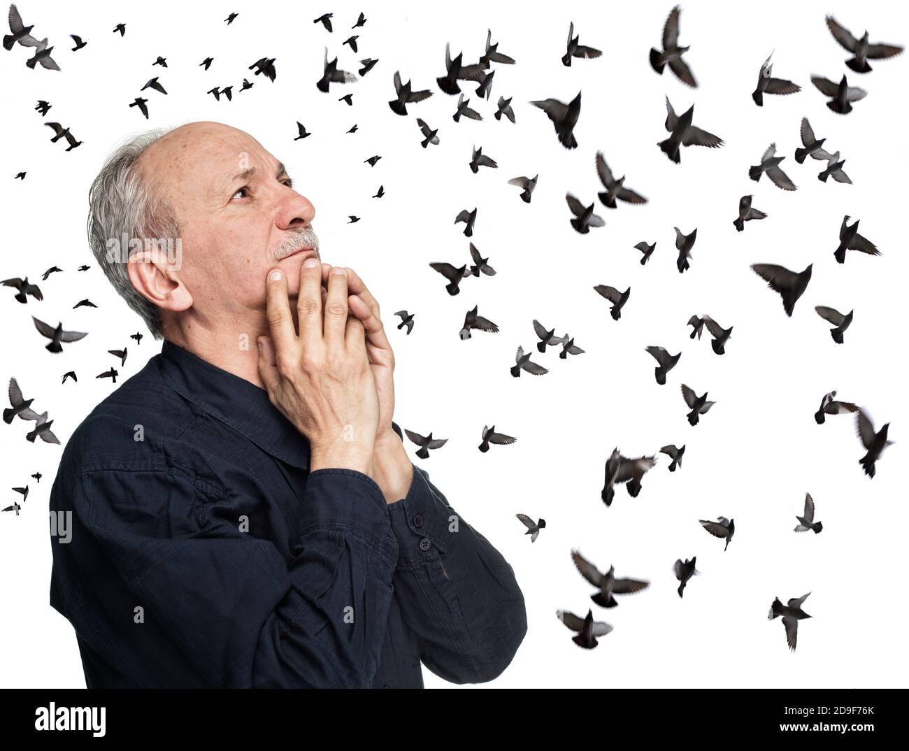 Elderly man looking up on sky with flying birds Stock Photo - Alamy