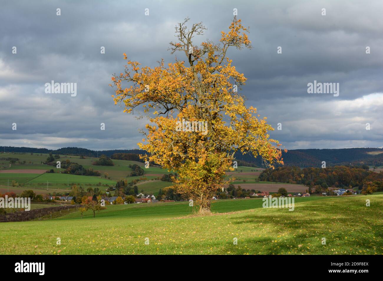 Autumnal landscape with a tree and a little Village Stock Photo - Alamy