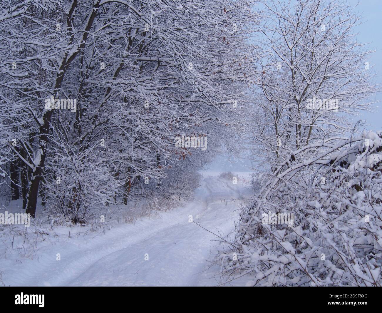 Frosty scenery landscape hi-res stock photography and images - Alamy