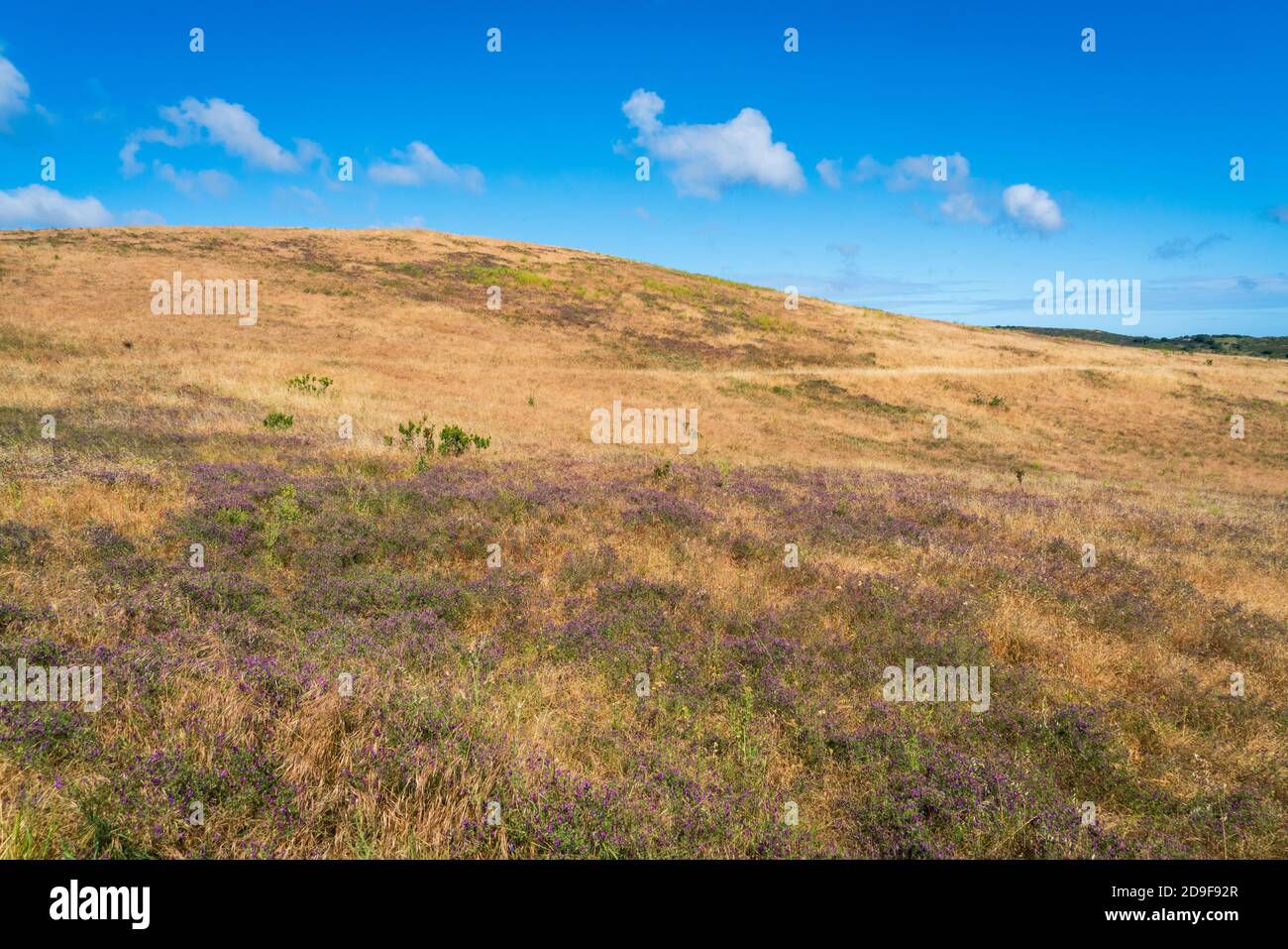 Fort Ord National Monument Stock Photo - Alamy