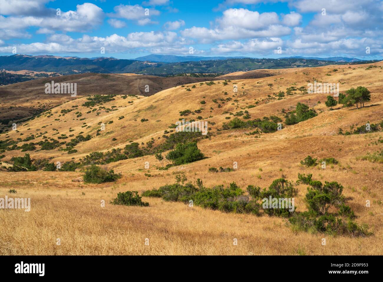 Fort Ord National Monument Stock Photo - Alamy