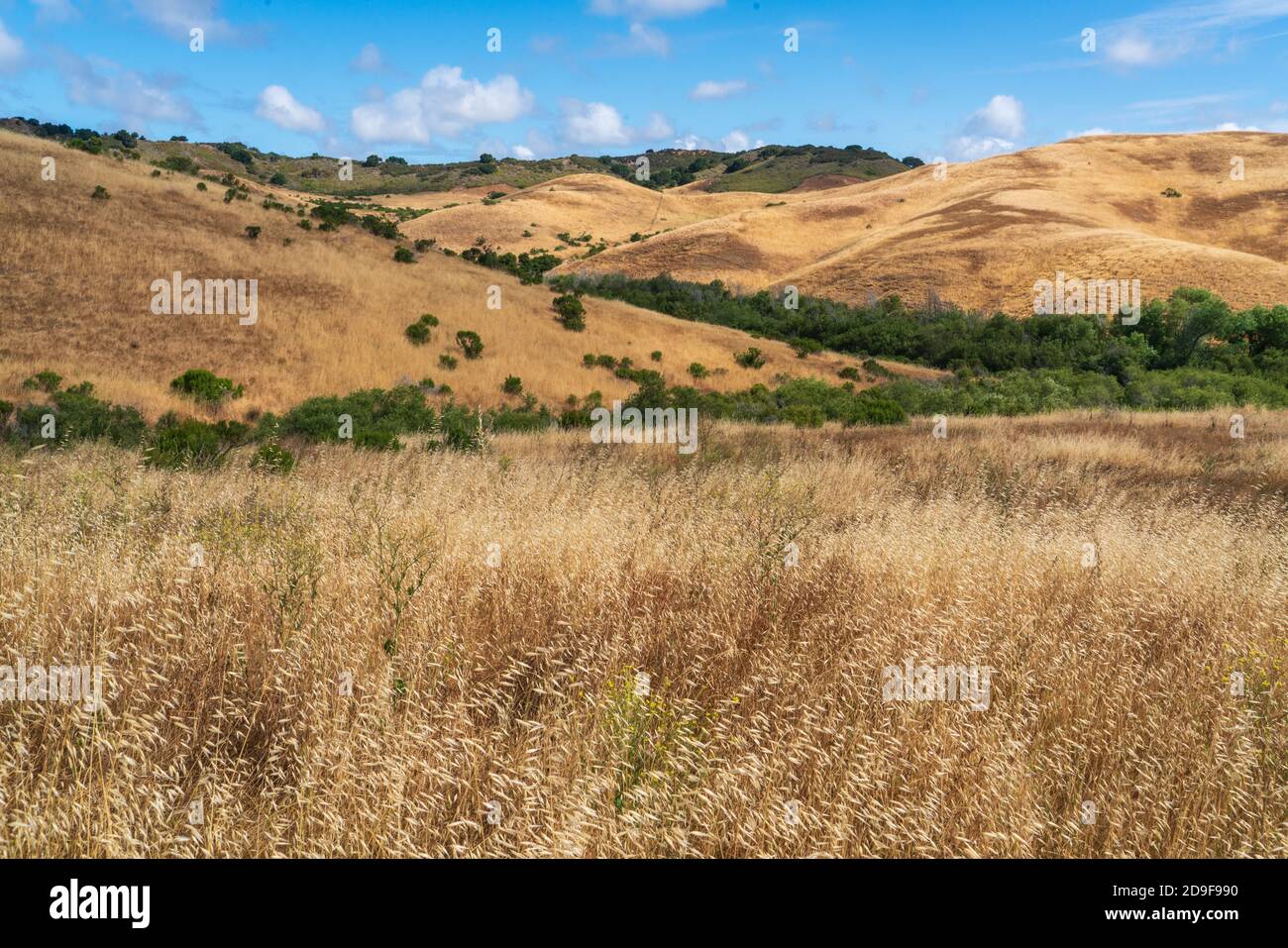 Fort Ord National Monument Stock Photo - Alamy