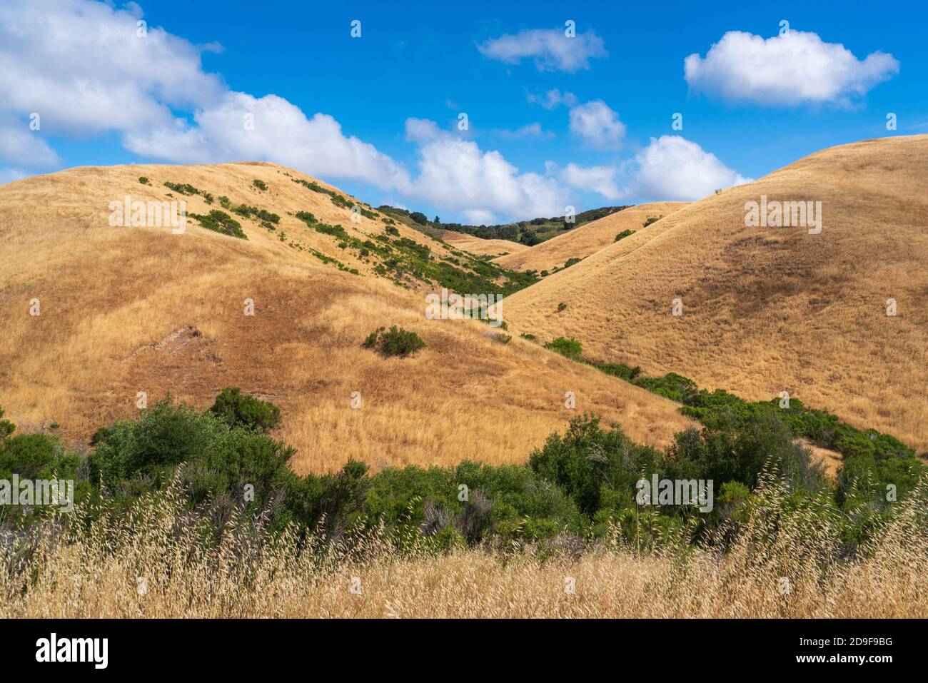Fort Ord National Monument Stock Photo - Alamy