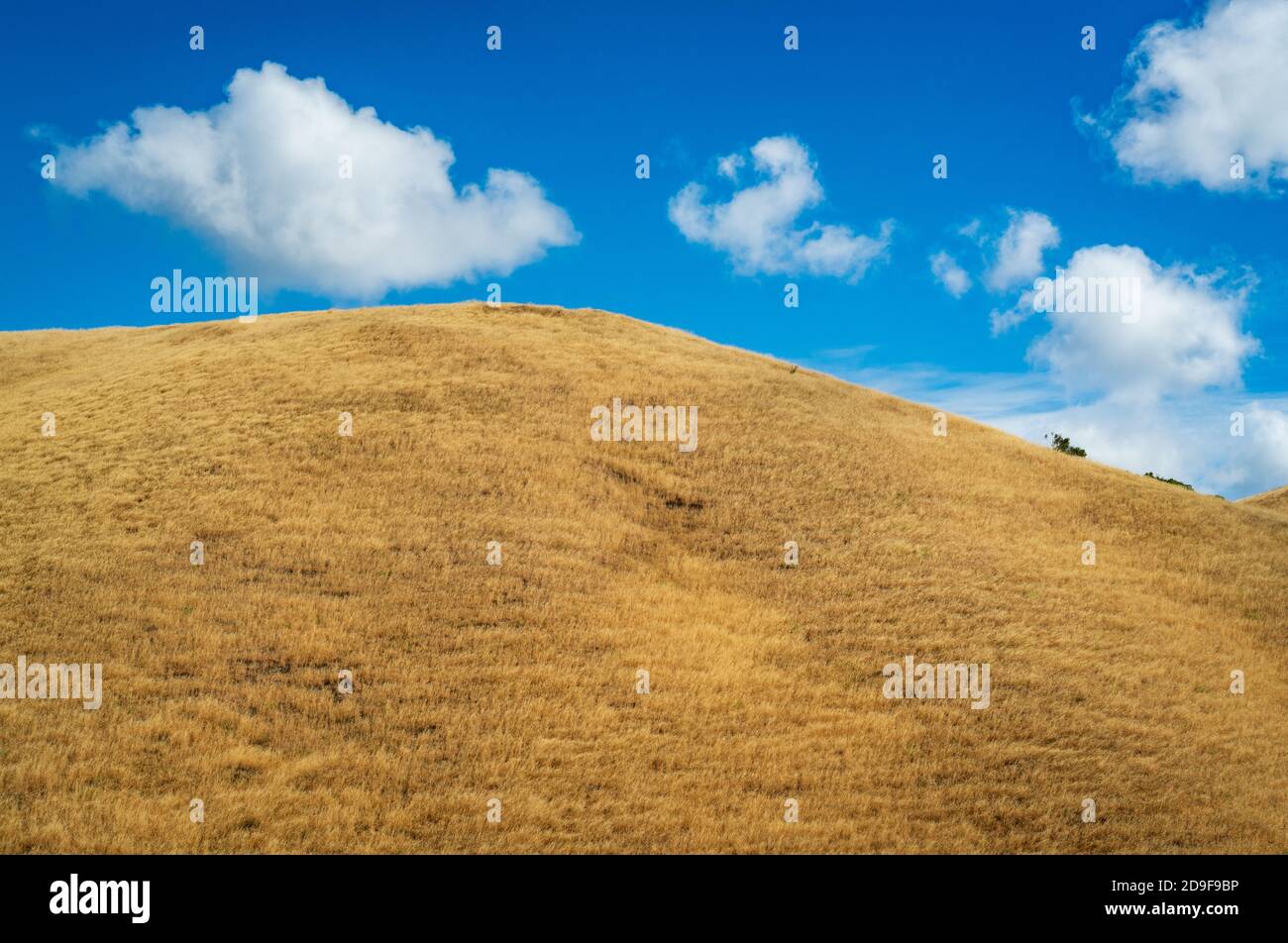 Fort Ord National Monument Stock Photo - Alamy