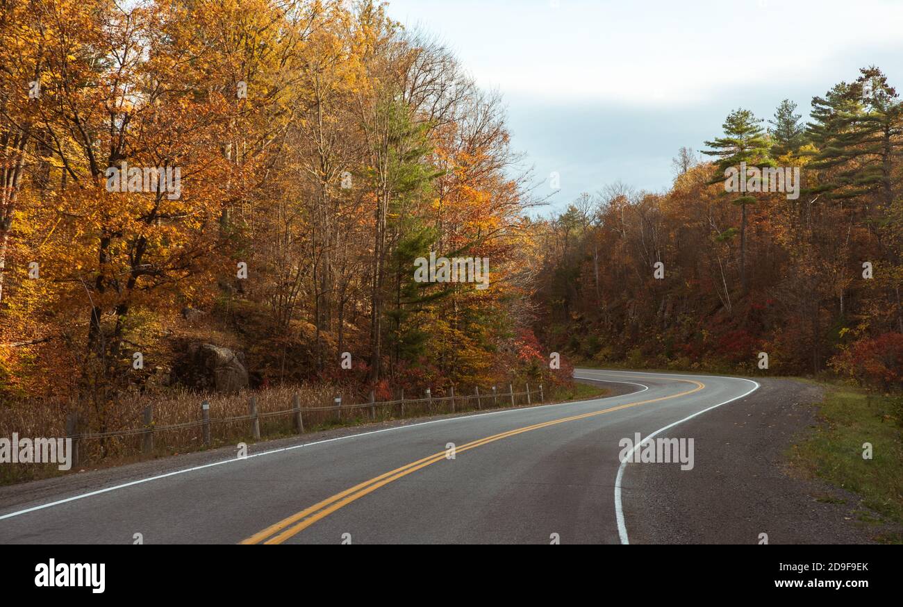 Wooded tree line hi-res stock photography and images - Alamy