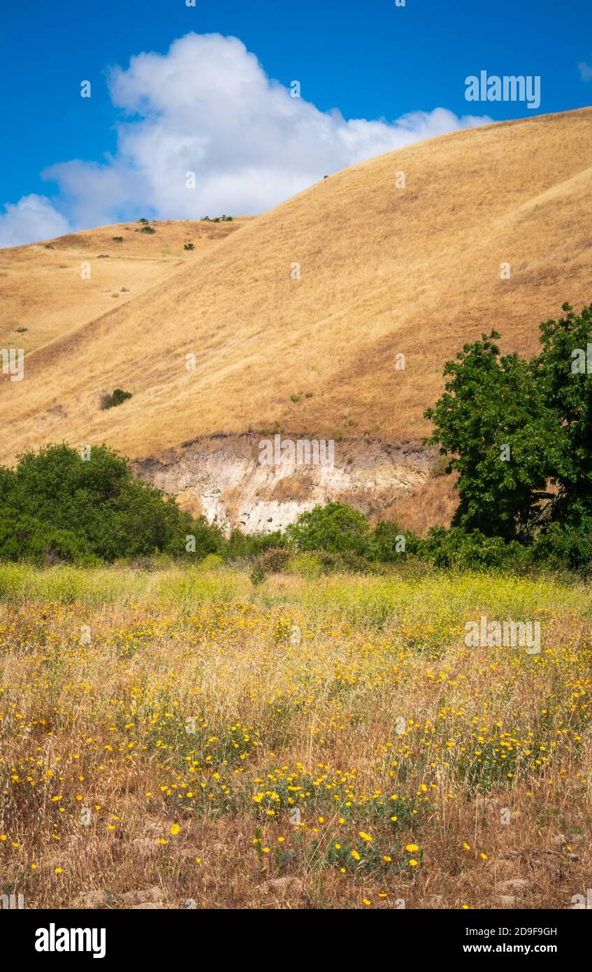 Fort Ord National Monument Stock Photo - Alamy