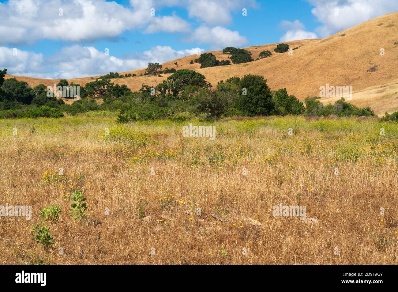 Fort Ord National Monument Stock Photo - Alamy