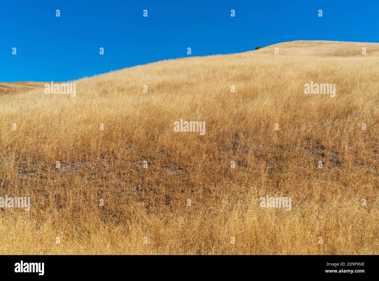 Fort Ord National Monument Stock Photo - Alamy
