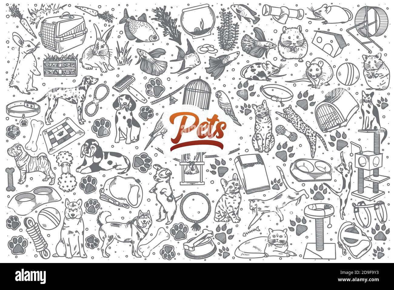 Hand drawn Pets doodle set with lettering Stock Vector Image & Art - Alamy