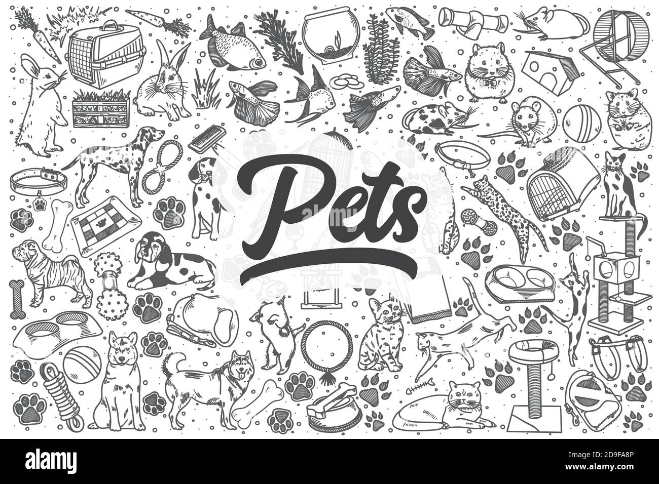 Hamster hand pet line hi-res stock photography and images - Alamy