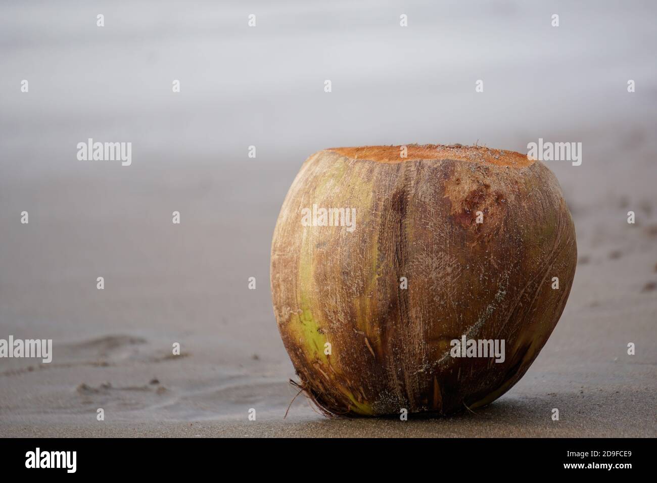 Fruit sand hi-res stock photography and images - Alamy