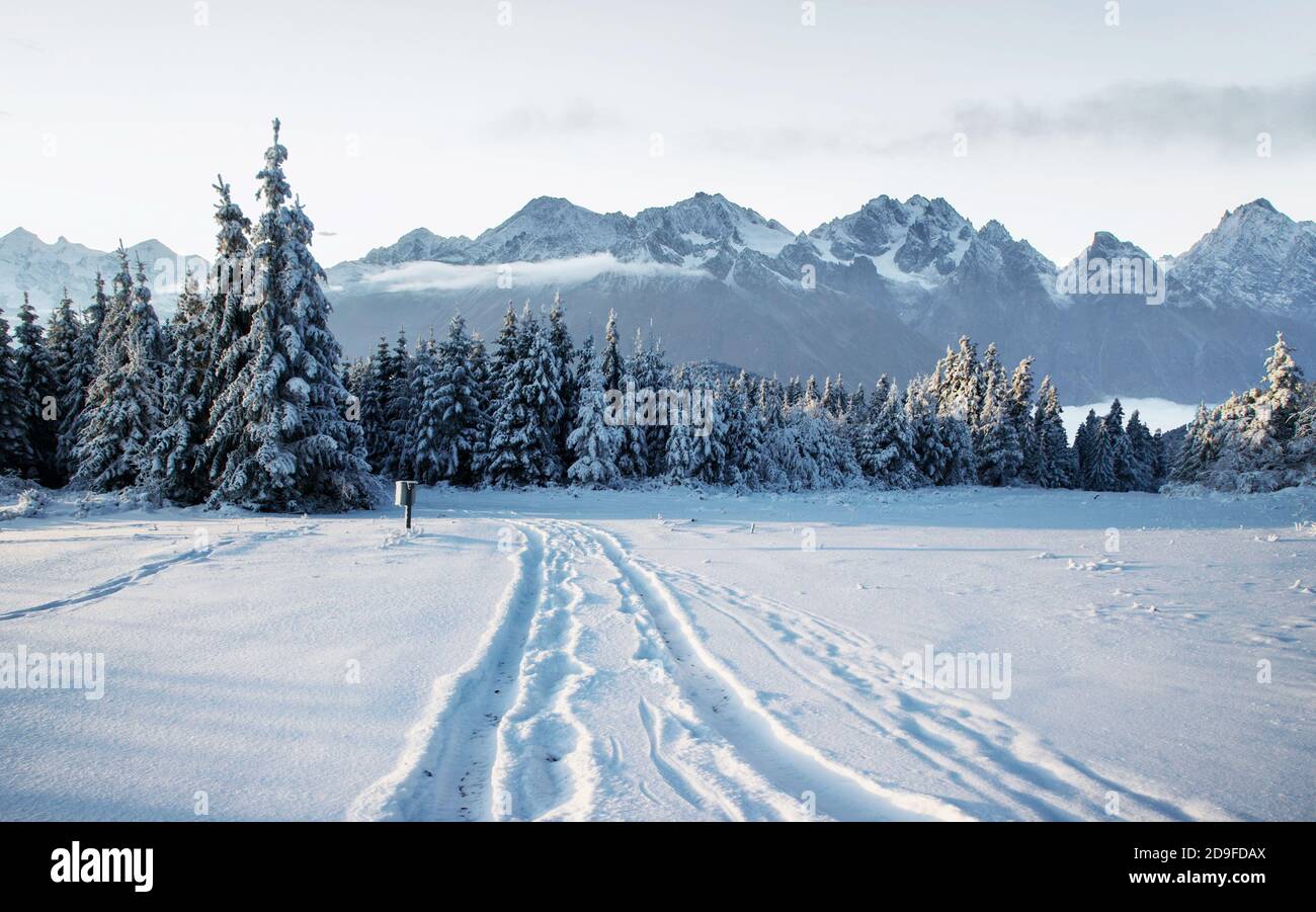 Majestic landscape with forest at winter time. Scenery background Stock ...
