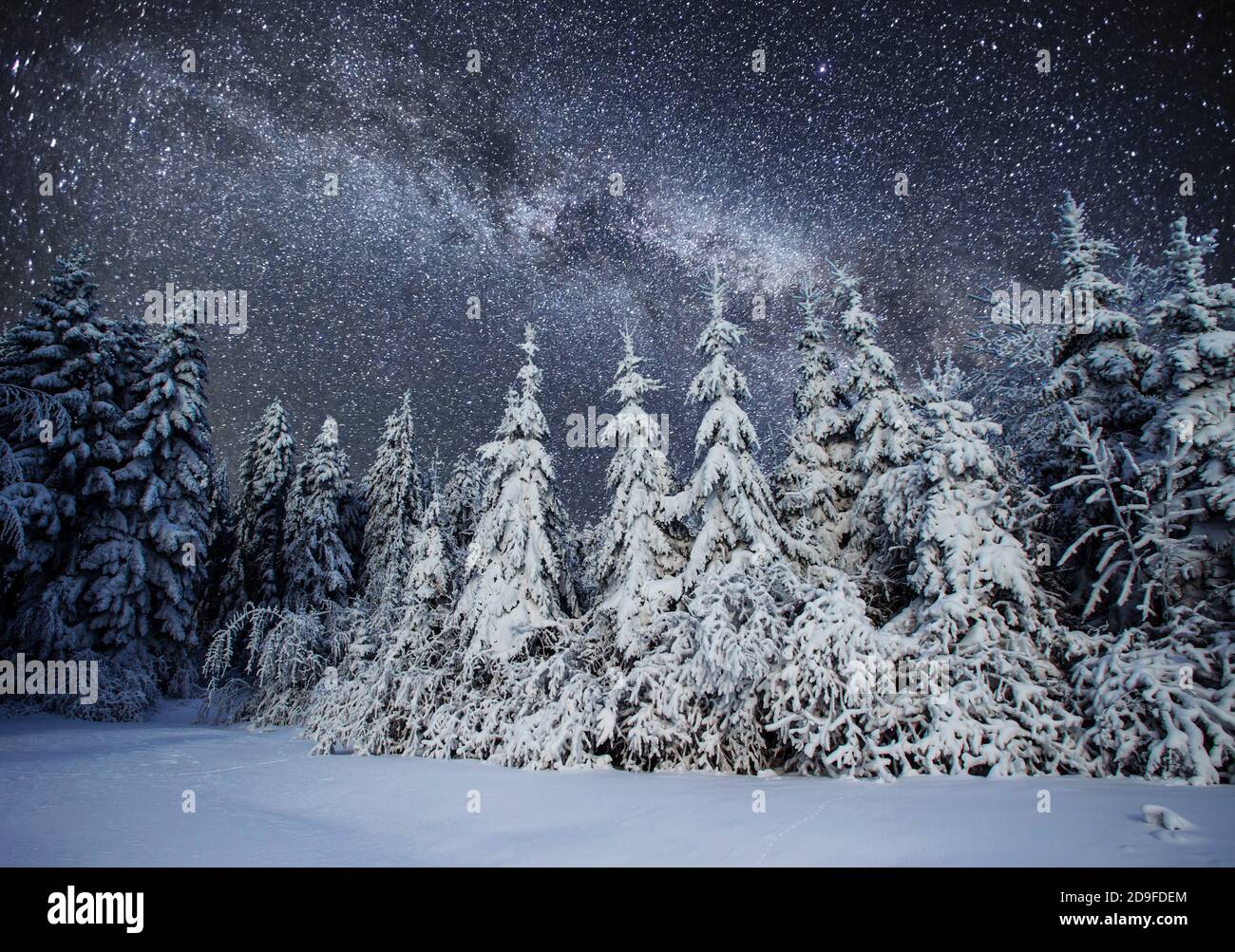 Majestic landscape with forest at winter night time with stars and ...