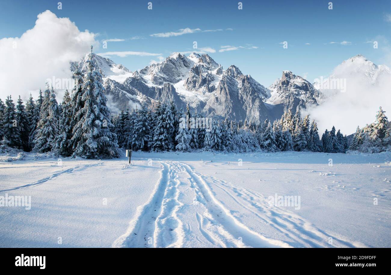 Majestic landscape with forest at winter time. Scenery background Stock ...