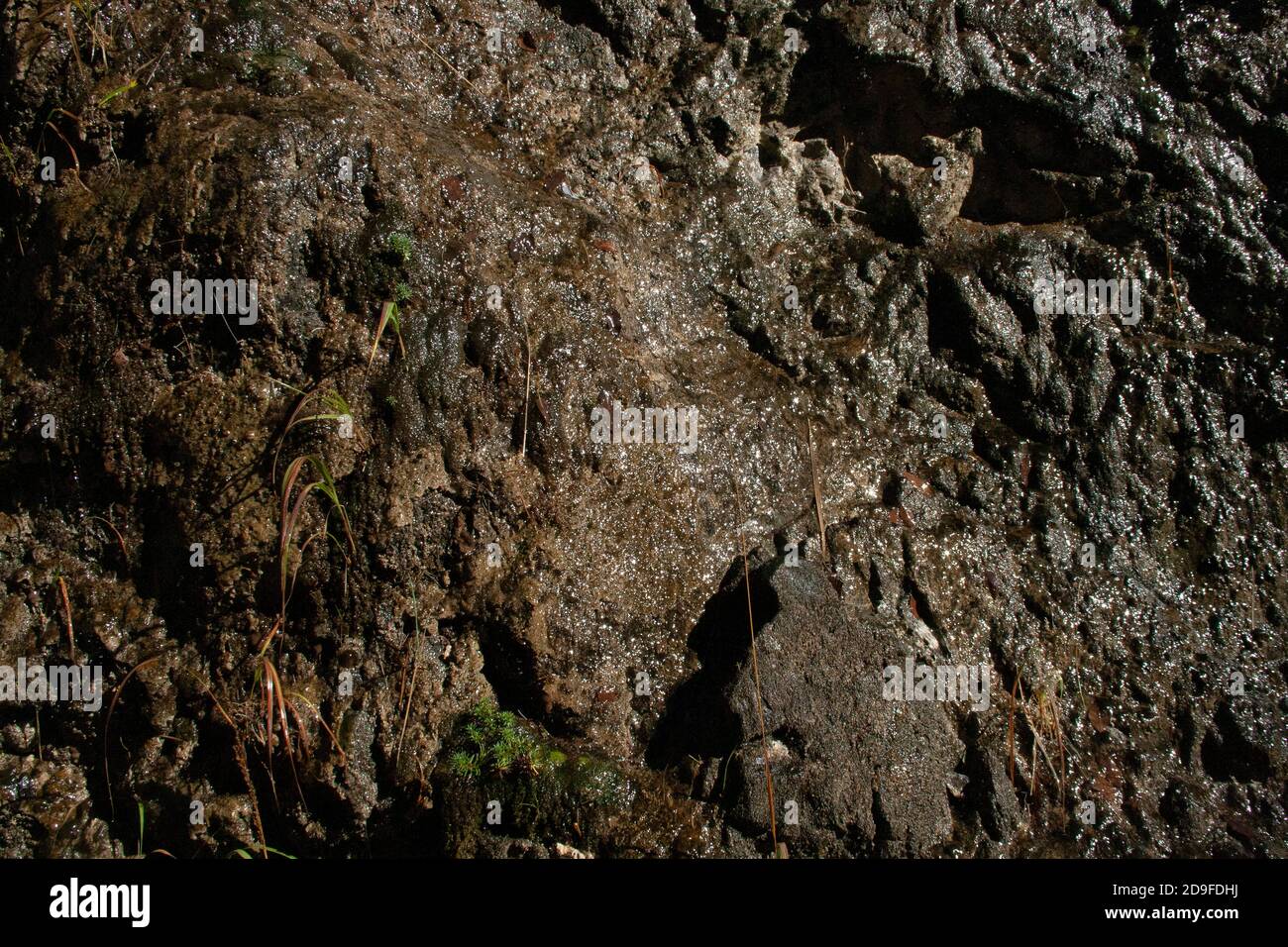 Rocky wall in dolomites with clearly visible details of the ripples ...