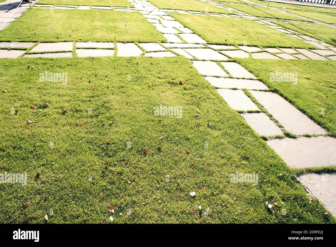 Stone Pathway on green grass. Garden path with grass growing up between ...