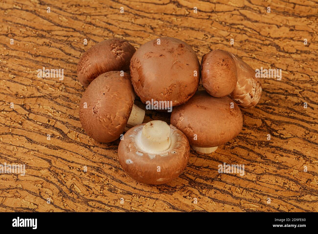 Tasty Raw Brown Champignons over background Stock Photo - Alamy