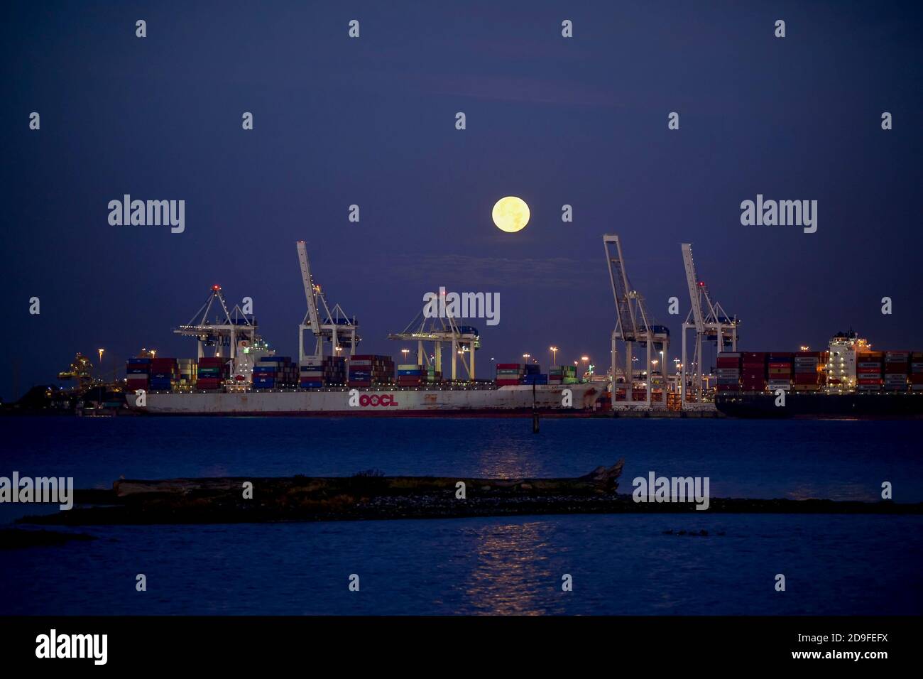 Container ships at Roberts Bank Terminal, Delta, British Columbia ...