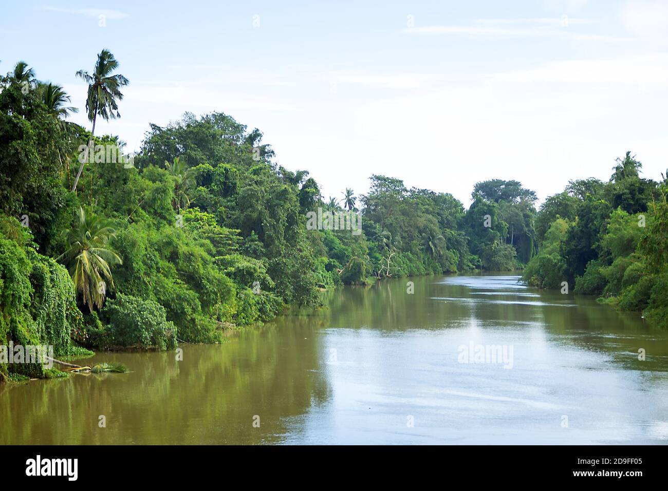 Floodplain rainforests hi-res stock photography and images - Alamy