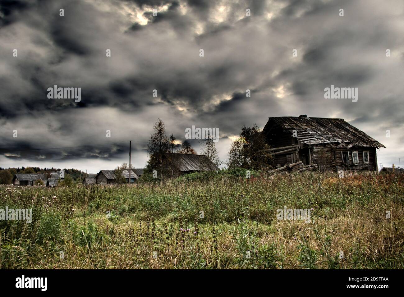 Russian old village on the edge of the forest is destroyed. North-West ...