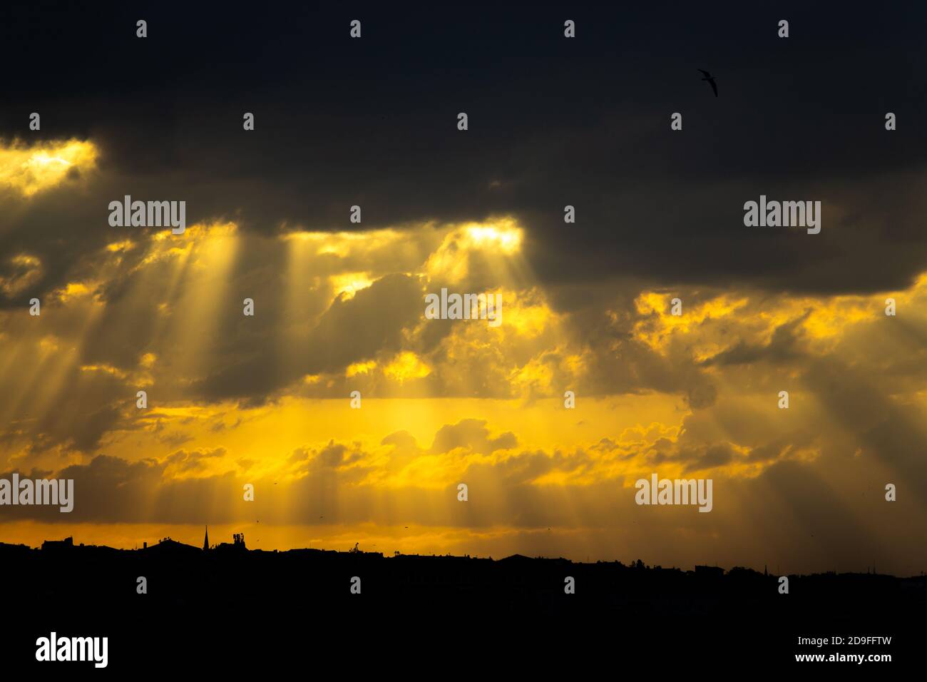 Sunlight beams hi-res stock photography and images - Alamy