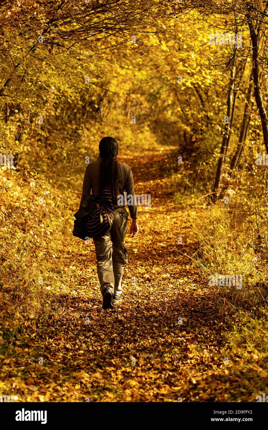 Back view of a female walking in a golden park on an autumn day Stock ...
